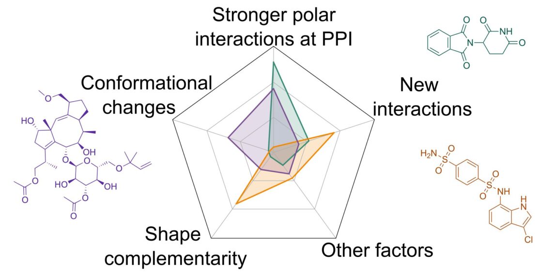 New PrePrint Alert! – CMD Lab