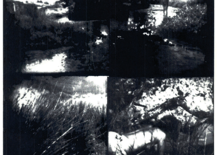 Triptiko – Cuerpos Conectados