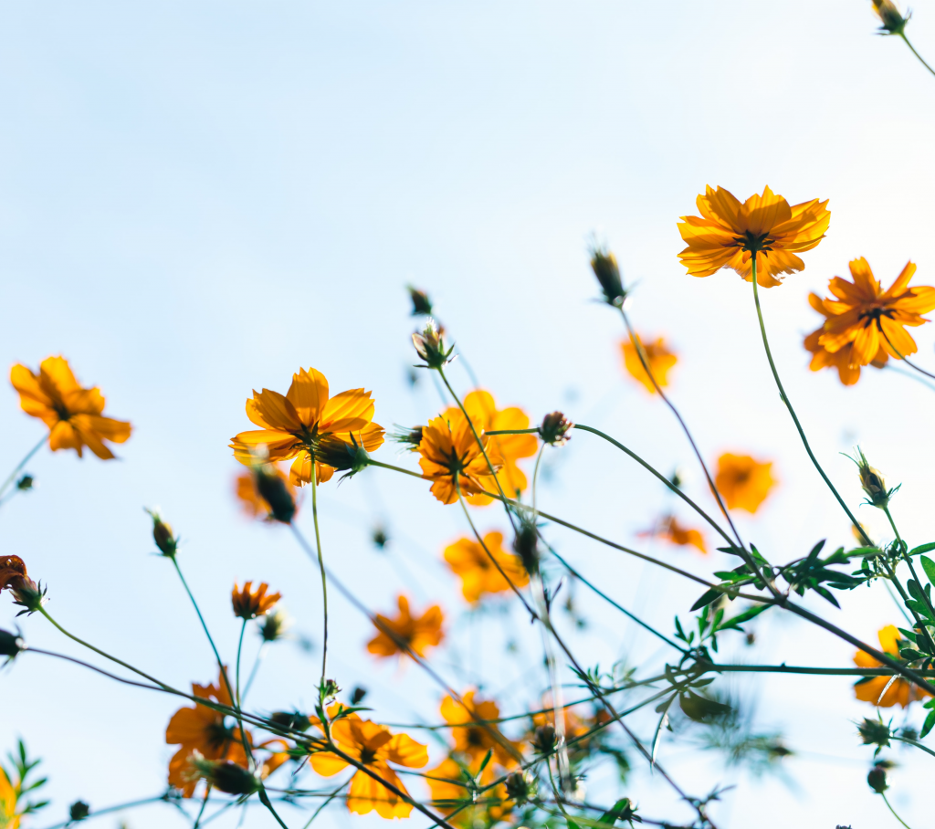 Events – ITAP Association