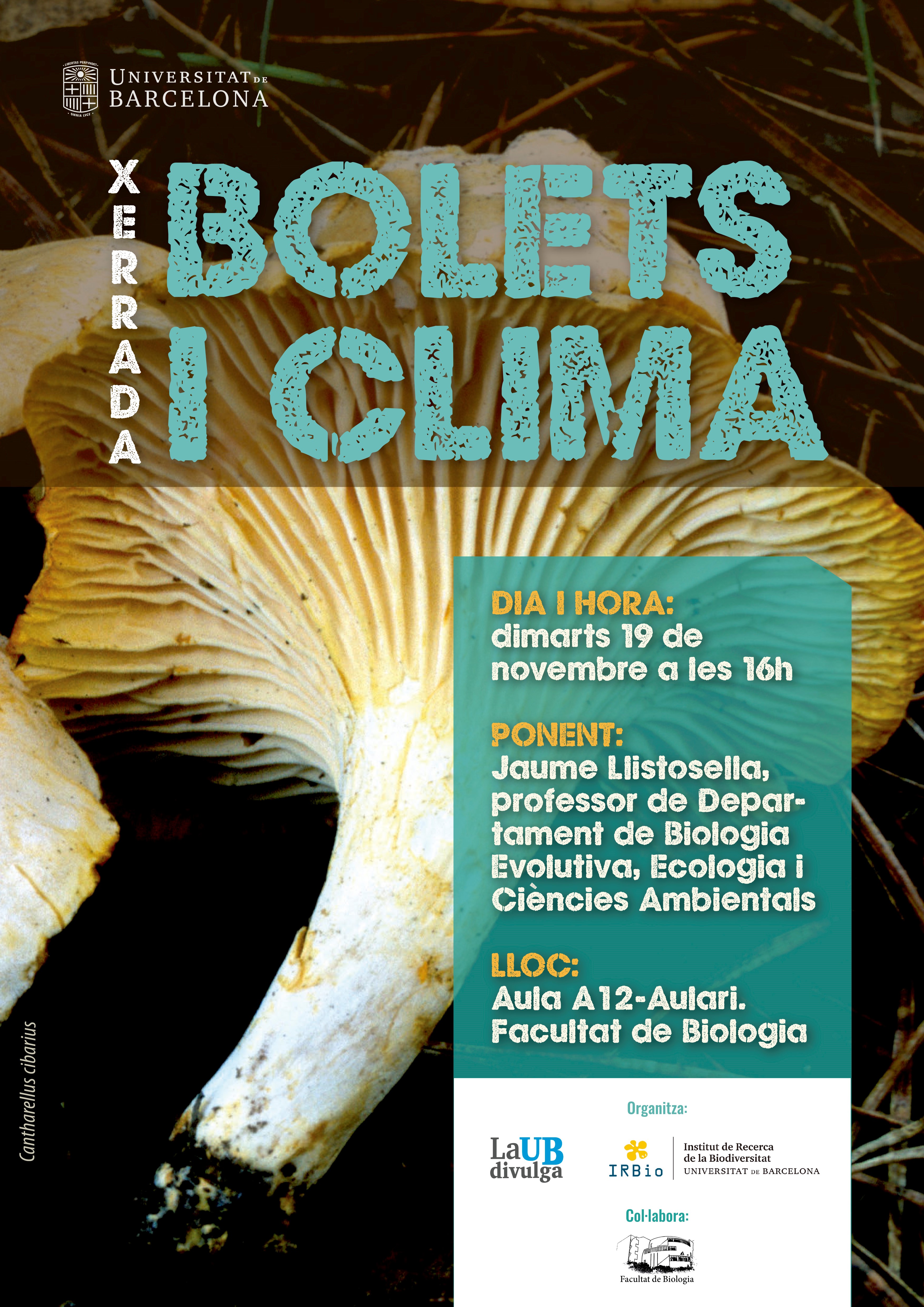 Universitat de Barcelona - Exposició de bolets