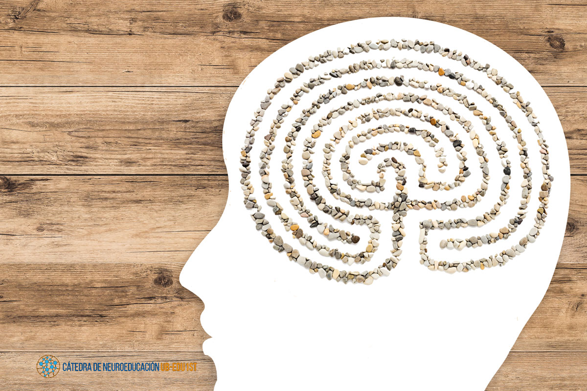 ¿Qué Tienen En Común Los Laberintos, El Hipocampo Y El Cerebro De Los ...