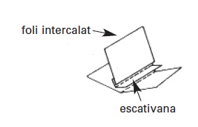 escativana – UBTERM