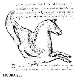 UB > UBTERM > pegàs