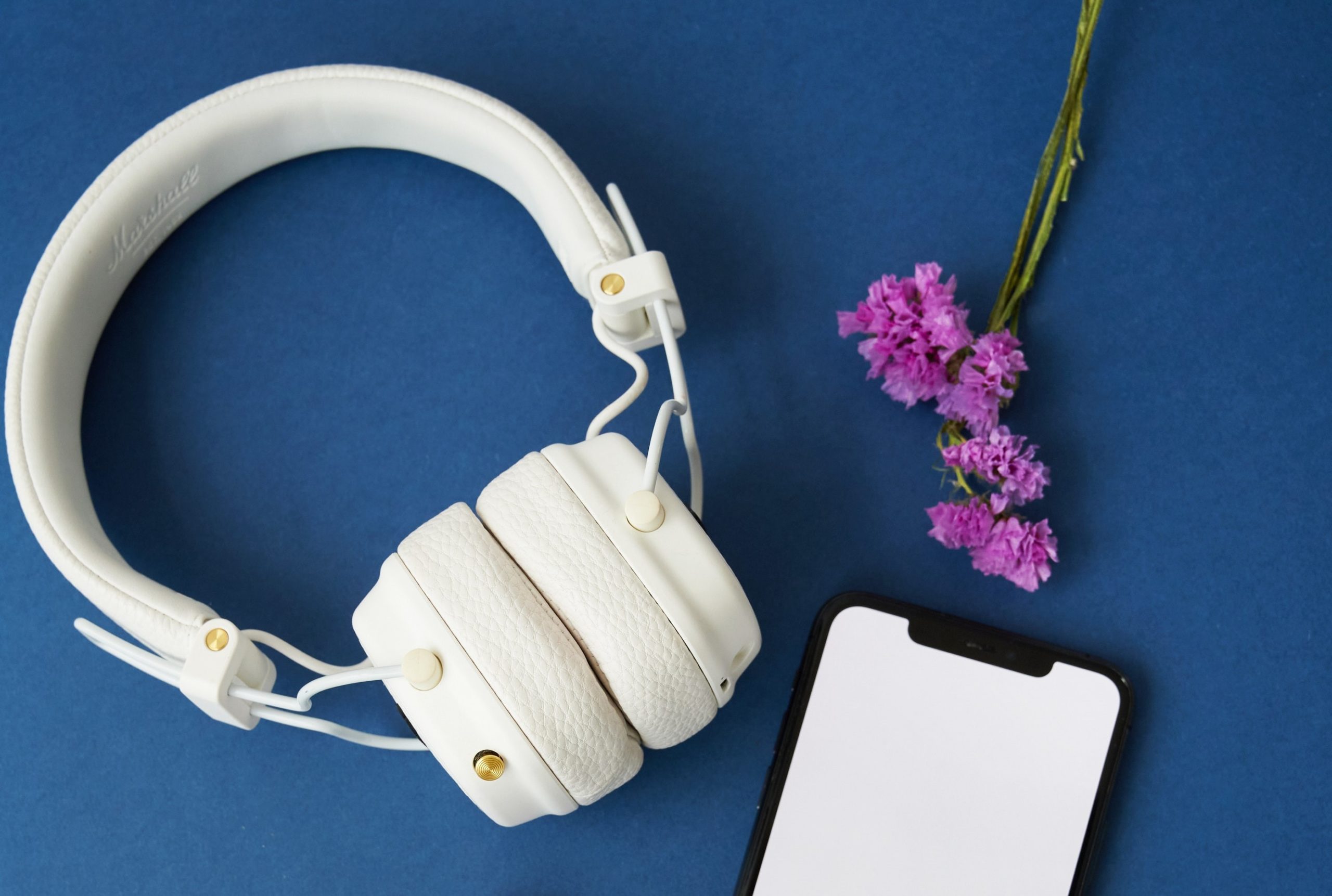 Preparar una presentació oral acadèmica – Recursos – Write & Present